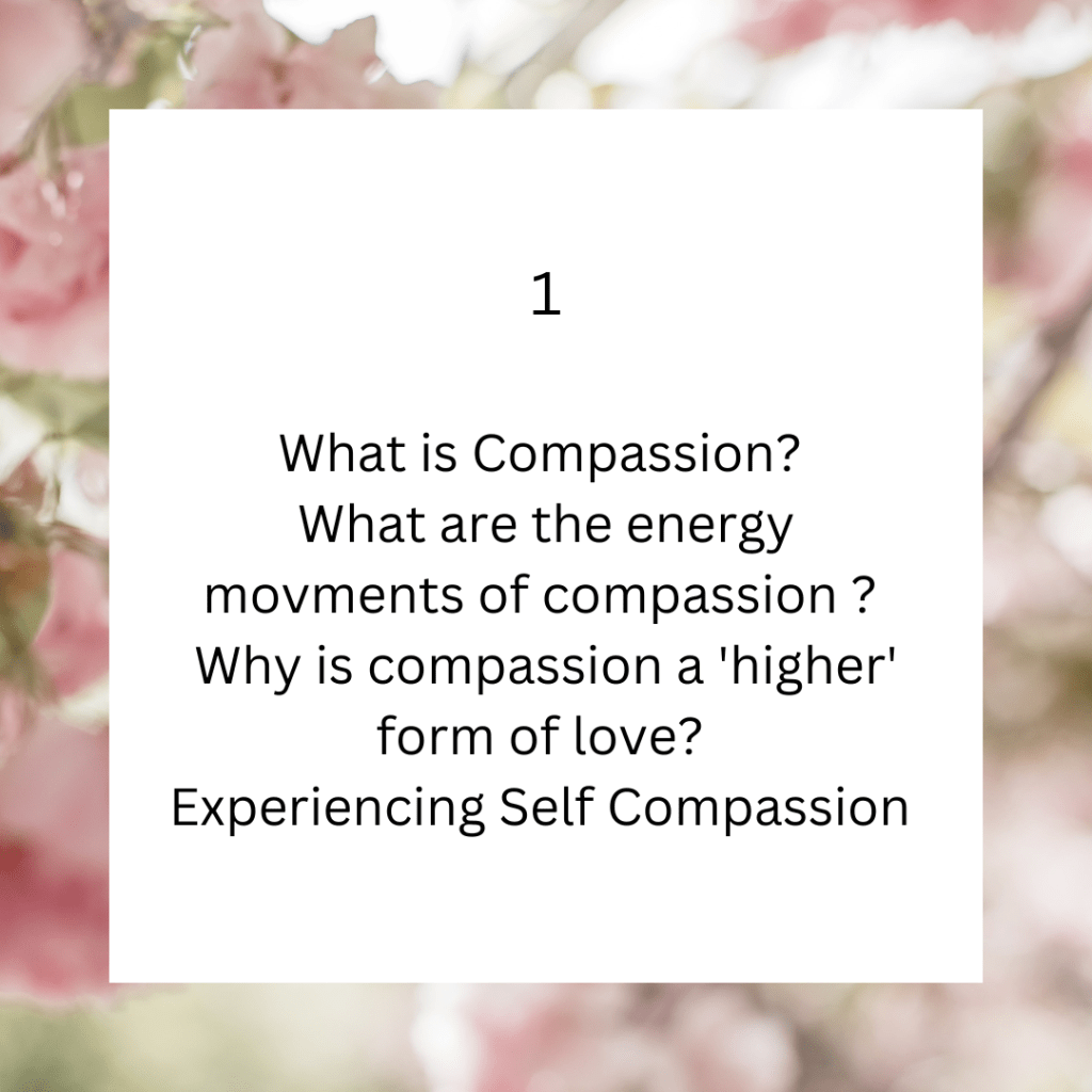 The Compassion Experience – Sandra Hillawi