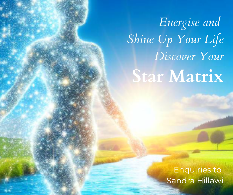 Star Matrix Master – Sandra Hillawi